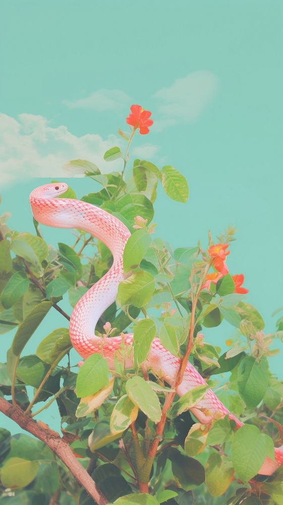 Green snake reptile flower animal | Free Photo Illustration - rawpixel
