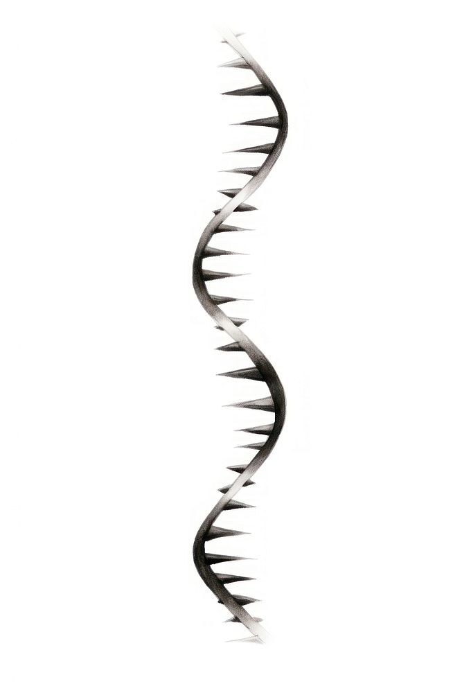A DNA spiral line art. | Premium Photo Illustration - rawpixel