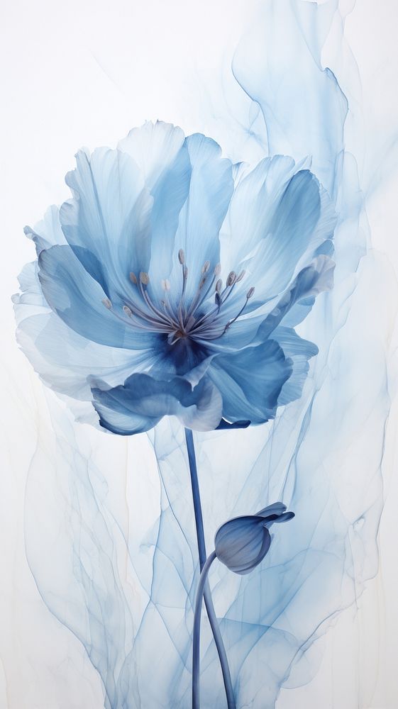 Blue Tulip flower painting plant. | Premium Photo - rawpixel