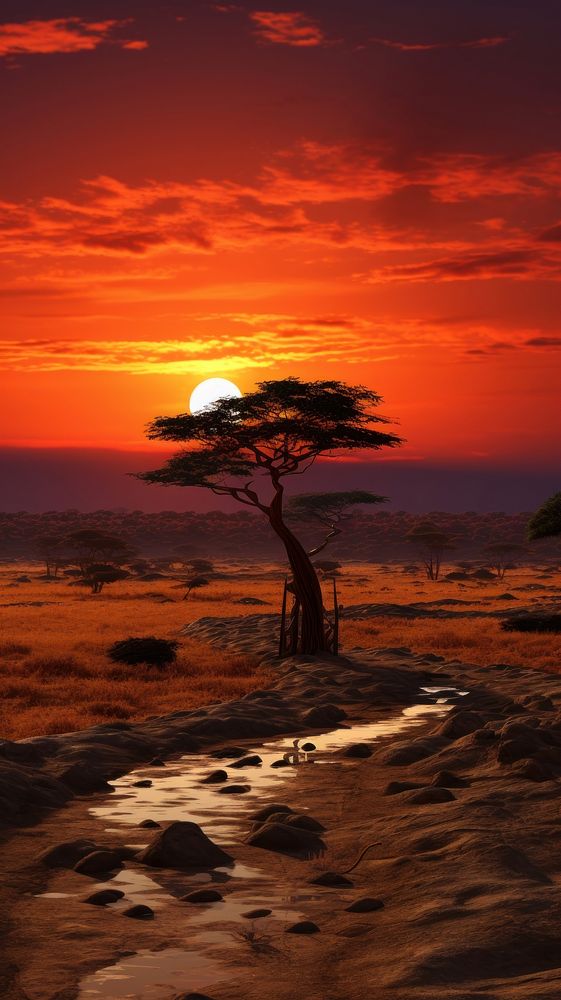 Sunset wallpaper landscape outdoors nature. | Premium Photo ...