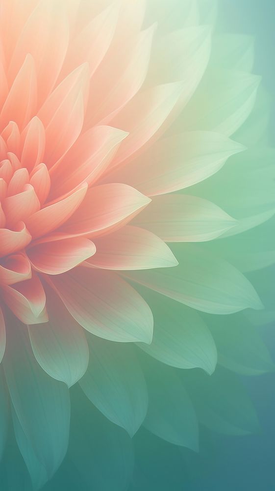 Blurred gradient green Dahlia dahlia | Premium Photo Illustration ...