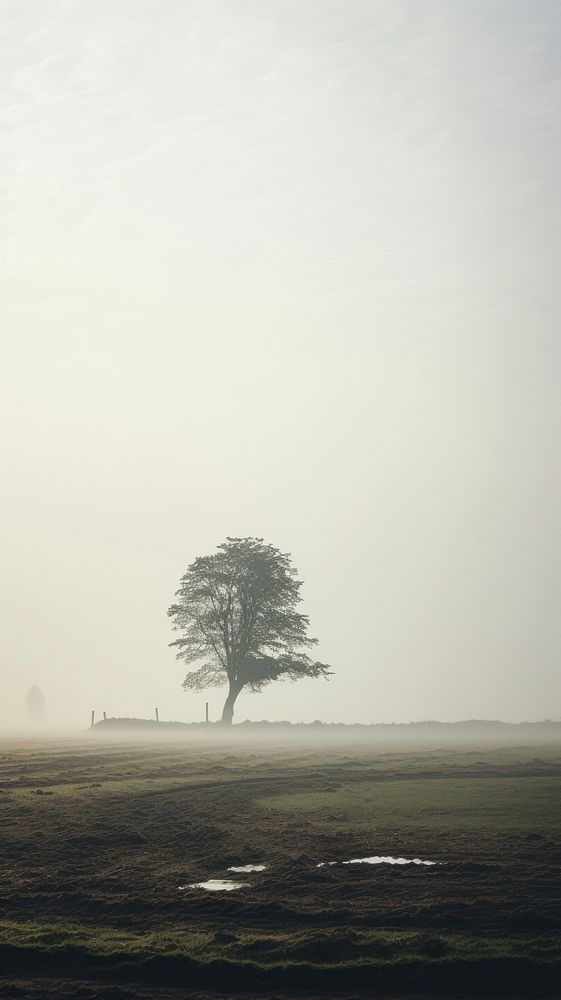 Japanese fog morning landscape outdoors | Free Photo - rawpixel