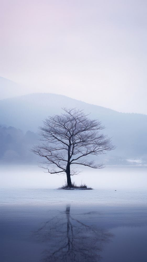 Japanese fog morning landscape outdoors | Free Photo - rawpixel