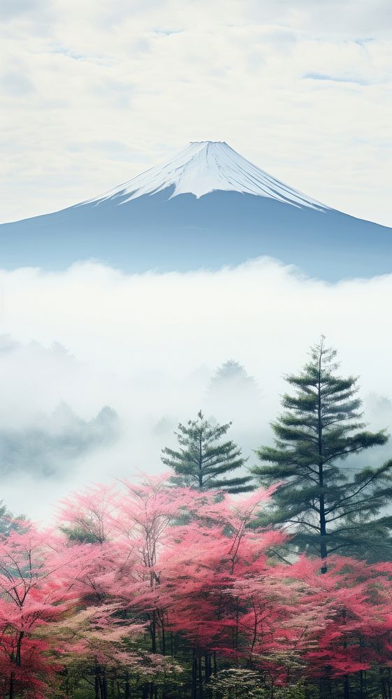 Japanese fog morning landscape mountain | Free Photo - rawpixel