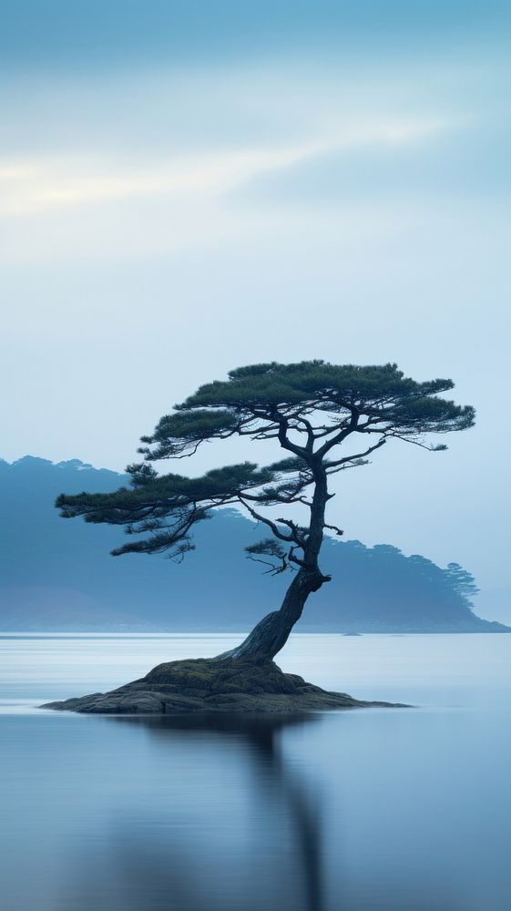 Japanese fog morning landscape outdoors | Free Photo - rawpixel