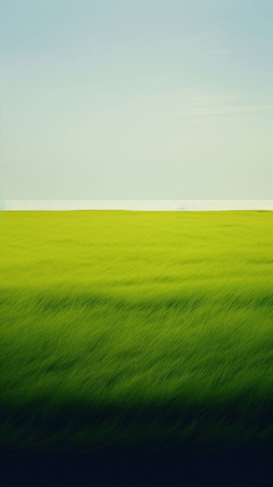 Photography beach field green landscape. | Premium Photo - rawpixel