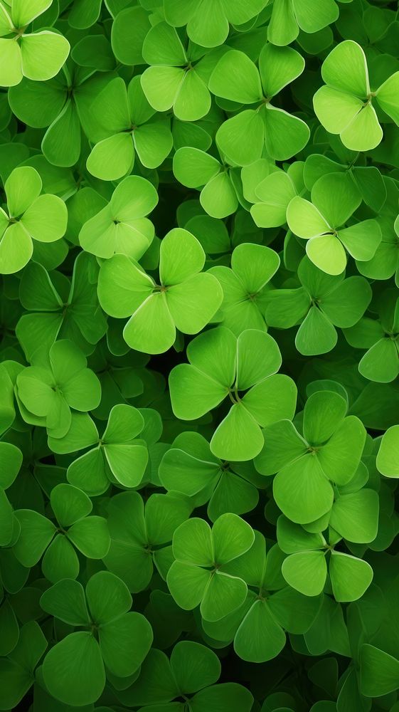 Green clover leaves plant leaf | Premium Photo Illustration - rawpixel