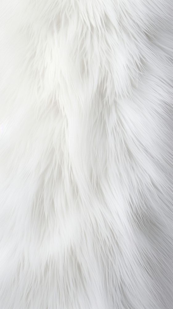 White fur backgrounds monochrome. | Free Photo - rawpixel