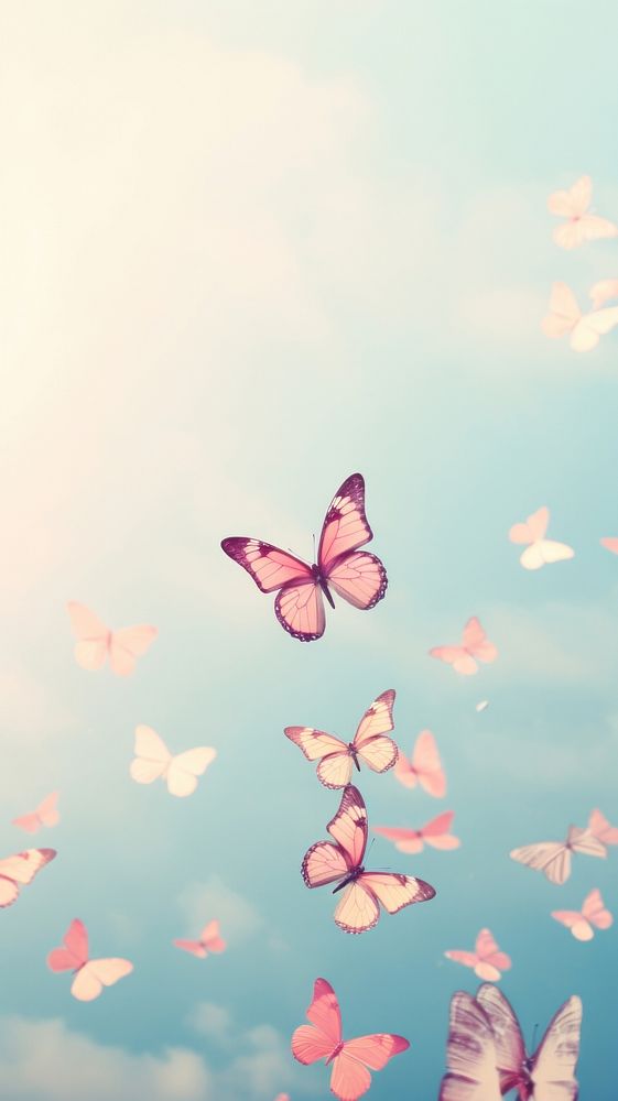 Butterflies wallpaper outdoors sky butterfly. | Premium Photo - rawpixel