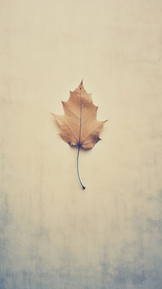 Grainy paper texture plant leaf | Free Photo - rawpixel