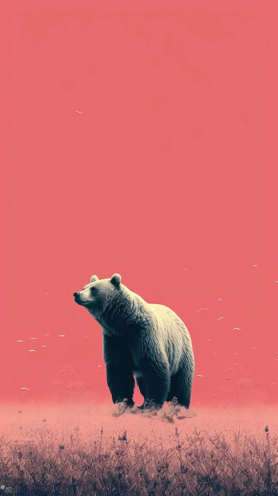 Bear wildlife animal mammal. | Premium Photo Illustration - rawpixel