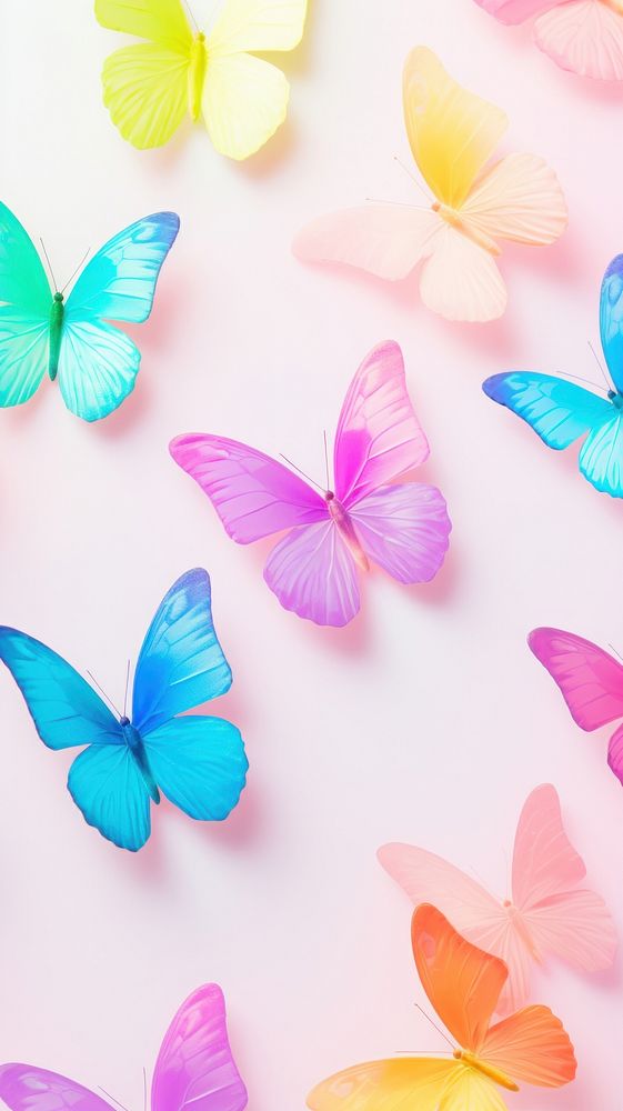 Butterfly pattern backgrounds petal invertebrate | Free Photo ...