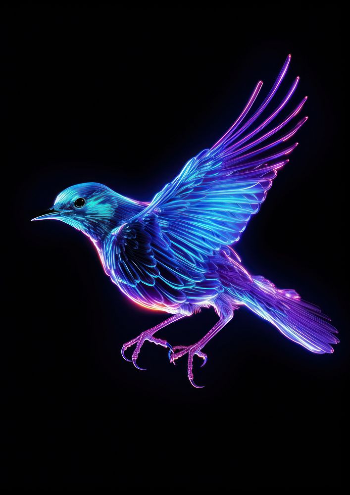 Neon bird animal hummingbird illuminated. | Premium Photo Illustration ...