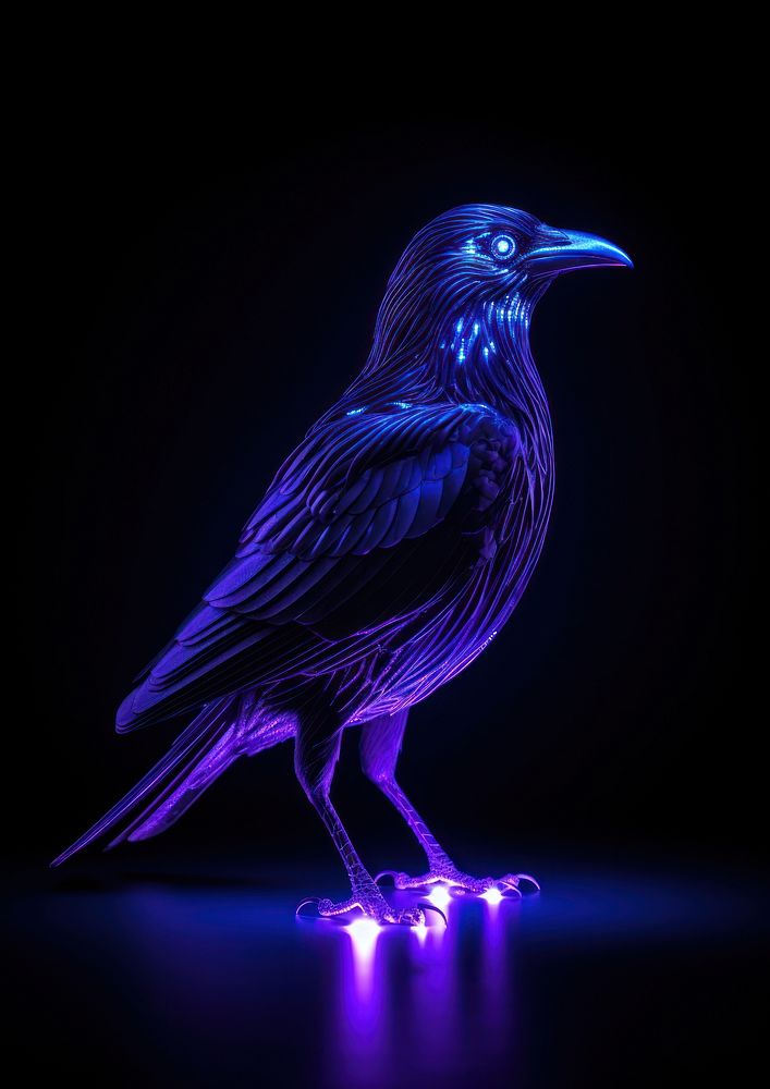 Neon crow light lighting animal. | Free Photo Illustration - rawpixel