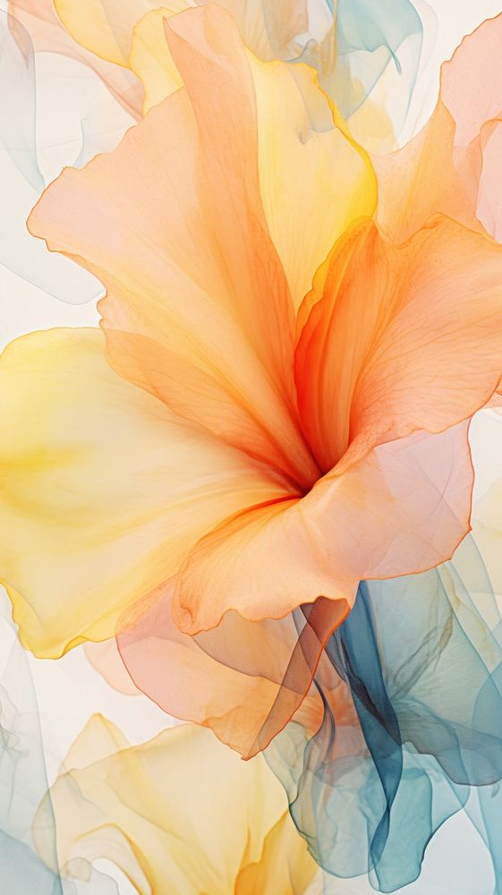 Lily flower abstract petal plant. | Free Photo Illustration - rawpixel
