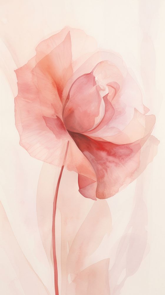Rose flower abstract petal plant. | Free Photo Illustration - rawpixel