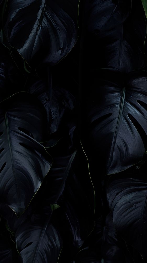 Black monstera wallpaper backgrounds darkness | Premium Photo - rawpixel