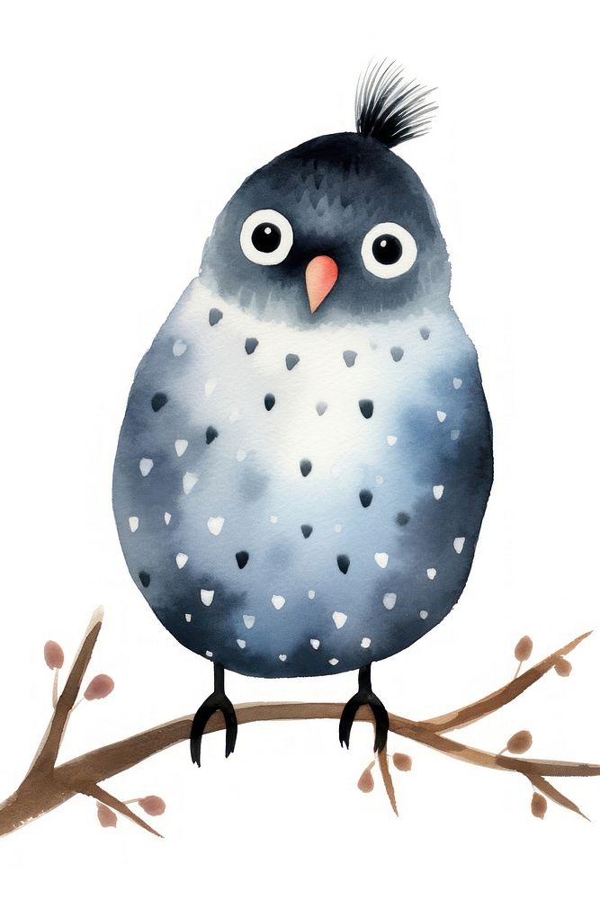 Cute watercolor illustration koel drawing | Free Photo Illustration ...