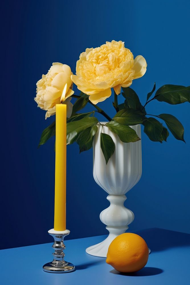 Candle candlestick flower plant. | Premium Photo - rawpixel