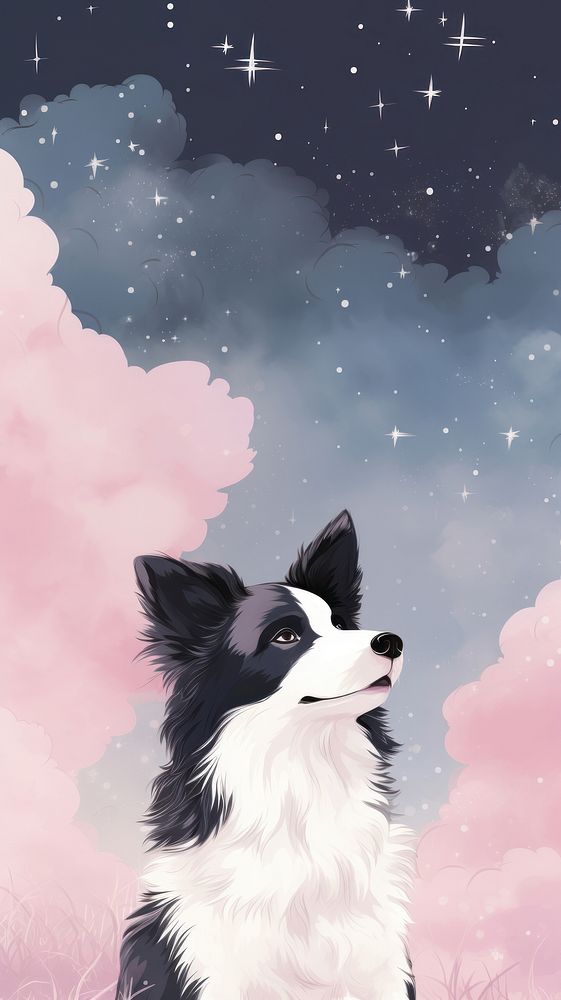 Cute Border Collie dreamy wallpaper | Free Photo Illustration - rawpixel