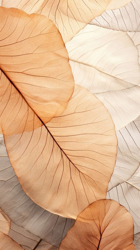 Brown leaf pattern abstract texture | Free Photo - rawpixel