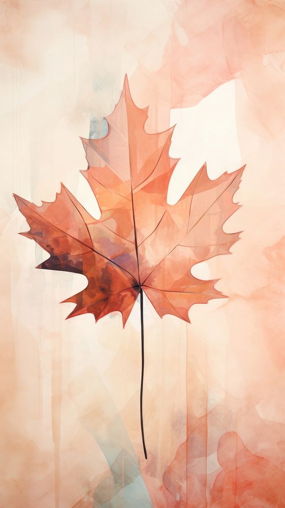 Leaf abstract maple plant | Free Photo Illustration - rawpixel