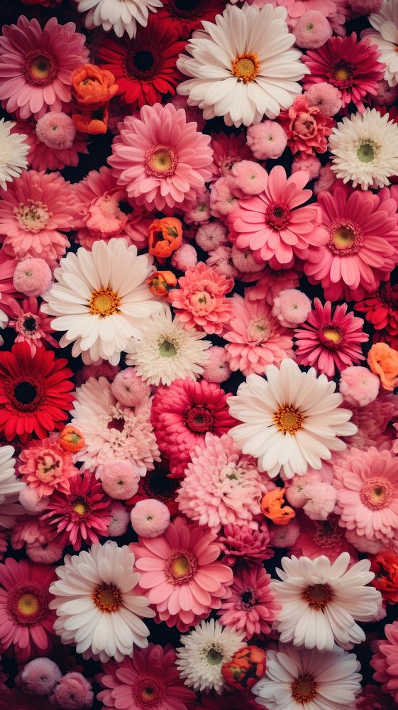 Flower carpet texture wallpaper backgrounds | Free Photo - rawpixel