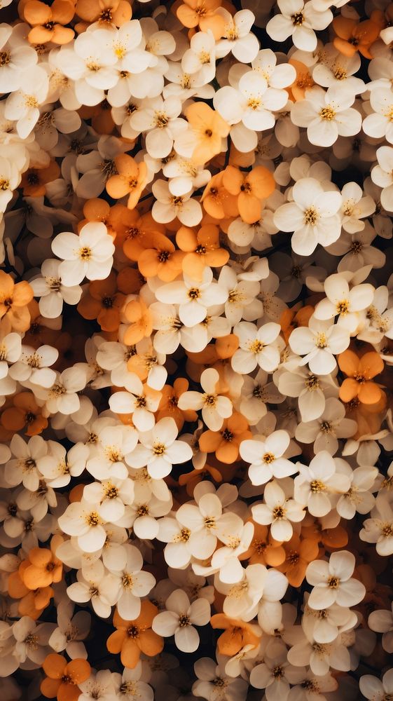 Flower grain texture wallpaper backgrounds | Free Photo - rawpixel