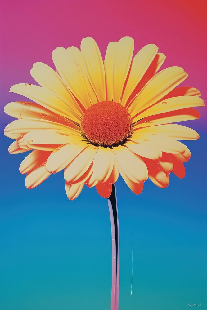 Sad daisy flower petal plant | Free Photo Illustration - rawpixel