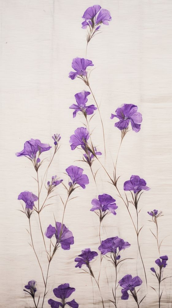 Real pressed mini purple flowers | Premium Photo - rawpixel