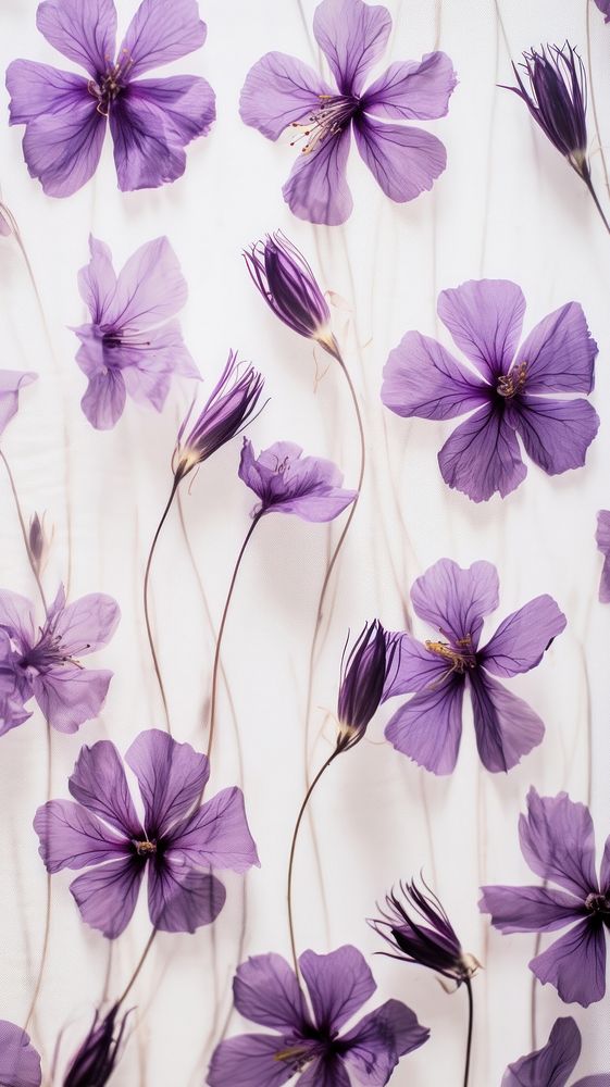 Real pressed purple flowers backgrounds | Premium Photo - rawpixel