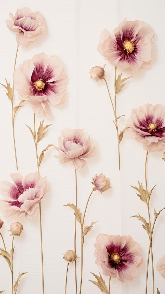 Real pressed peony flowers pattern | Free Photo - rawpixel