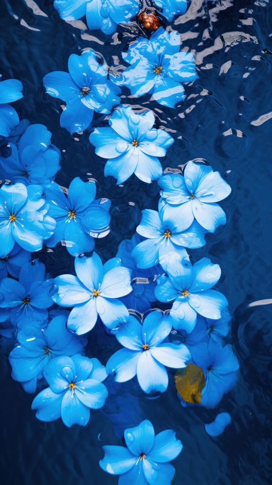 Dark blue backwater Top view | Premium Photo - rawpixel