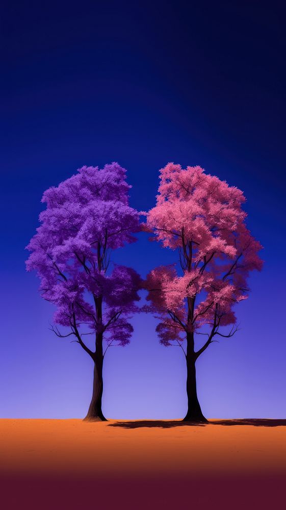 High contrast Trees landscape tree | Premium Photo - rawpixel