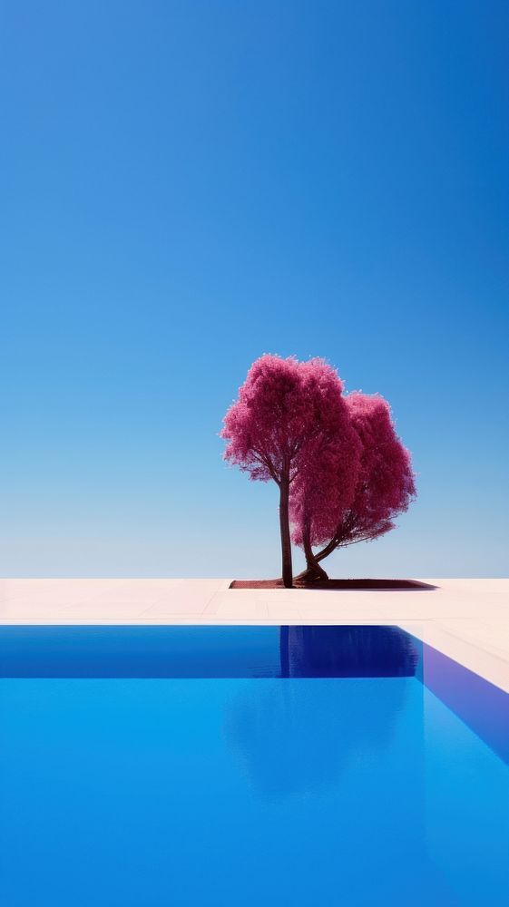 High contrast swimming pool outdoors | Free Photo - rawpixel