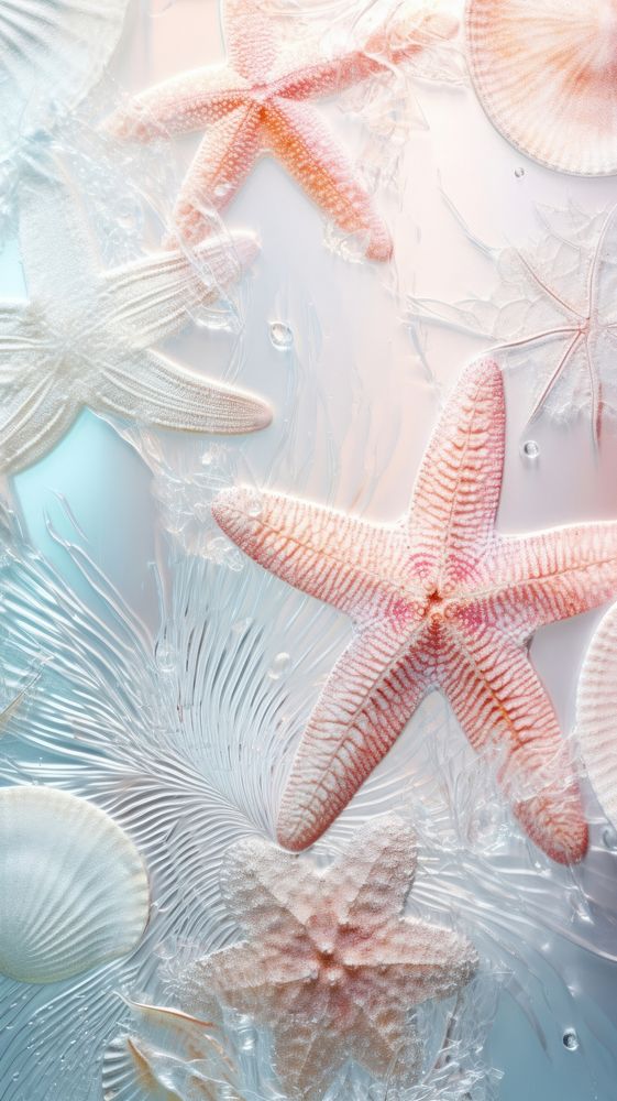 Glass fusing art backgrounds starfish | Premium Photo - rawpixel