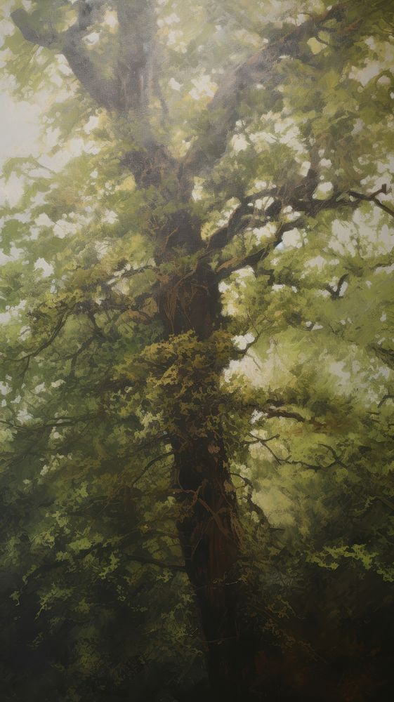 Oak tree backgrounds outdoors woodland. | Free Photo Illustration ...