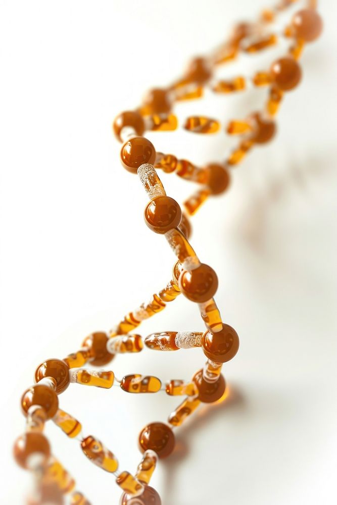 DNA jewelry bead pill. | Premium Photo - rawpixel