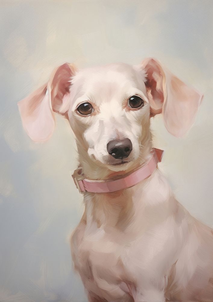 Close pale dog mammal animal | Premium Photo Illustration - rawpixel