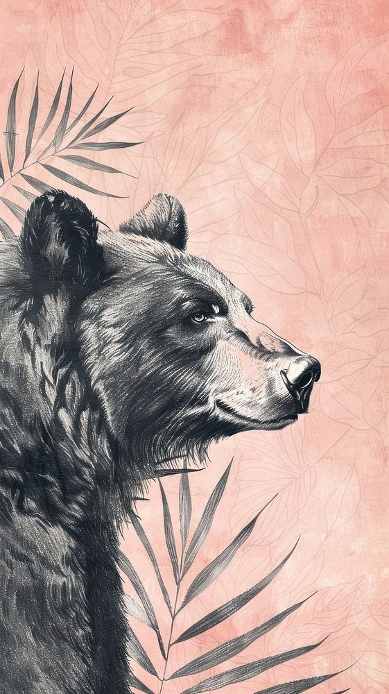 Wallpaper Bear drawing sketch bear. | Free Photo Illustration - rawpixel
