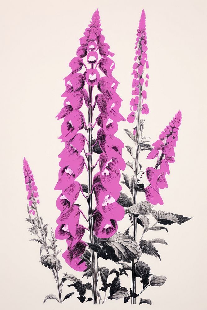Silkscreen foxgloves flower nature plant. | Free Photo Illustration ...