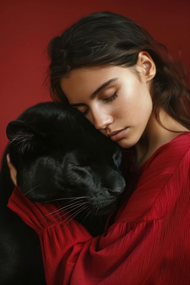 Sleeping panther photo pet photography. | Free Photo - rawpixel