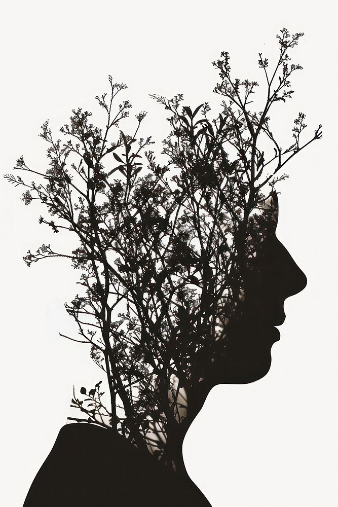 Still life human head symmetrical | Free Photo Illustration - rawpixel