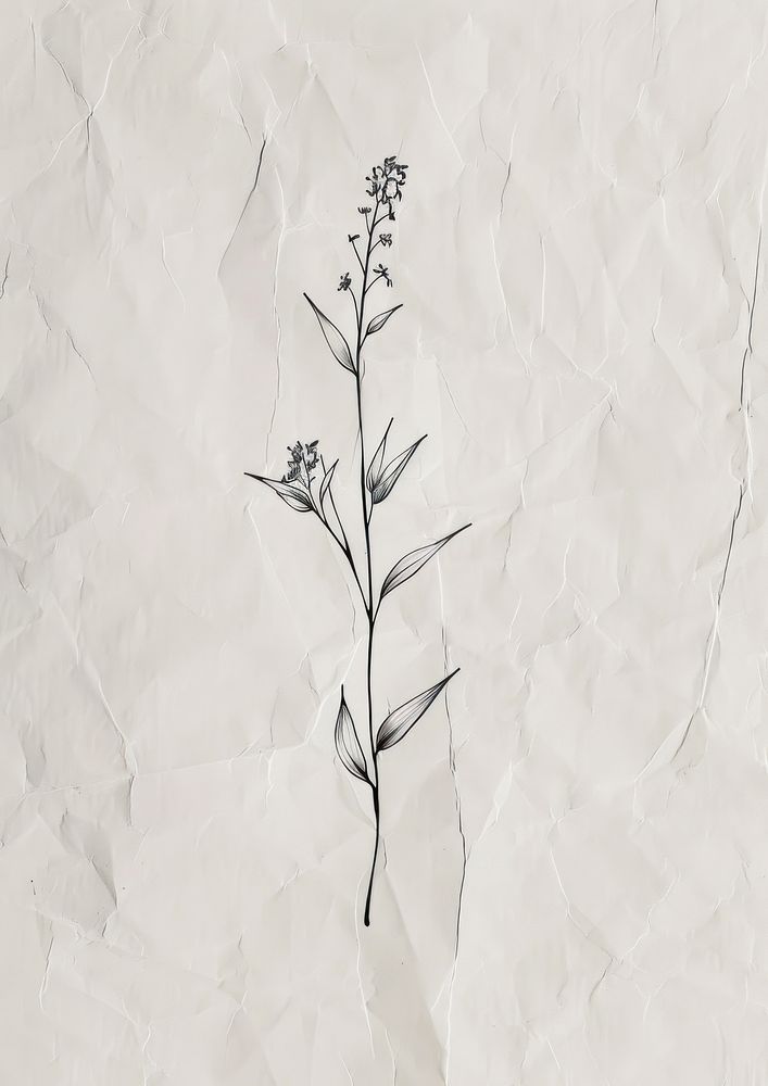 Minimal line art Hand drawn | Free Photo Illustration - rawpixel