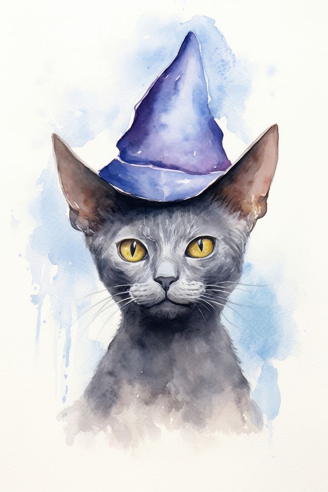 Korat cat wearing wizard hat | Free Photo Illustration - rawpixel