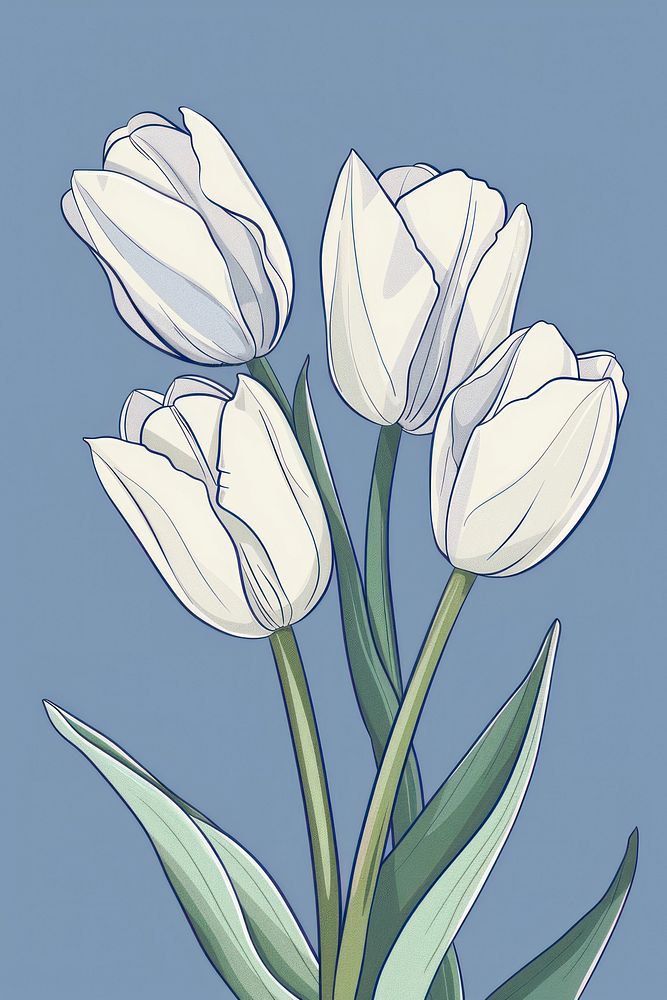 White tulips illustrated blossom drawing. | Free Photo Illustration ...