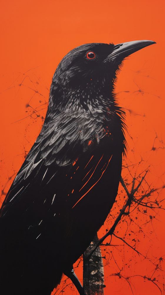 Bird blackbird agelaius animal. | Free Photo Illustration - rawpixel