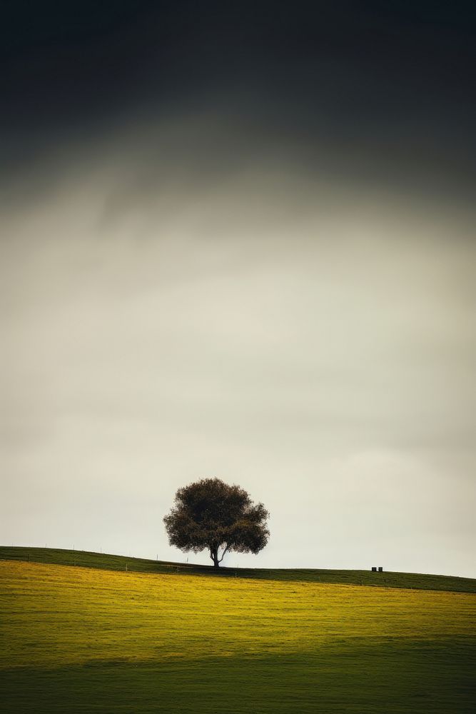 Photo sadness landscape grassland outdoors. | Free Photo - rawpixel