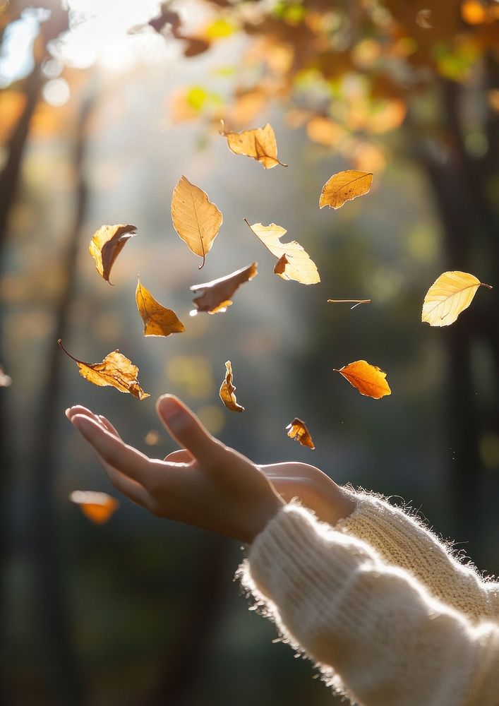 Autumn leaves gently falling gracefully. | Free Photo - rawpixel