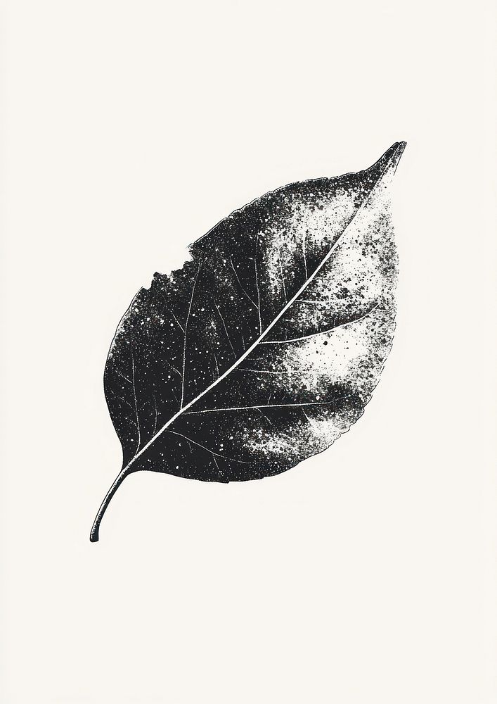Leaf retro photocopy stipple white | Free Photo Illustration - rawpixel